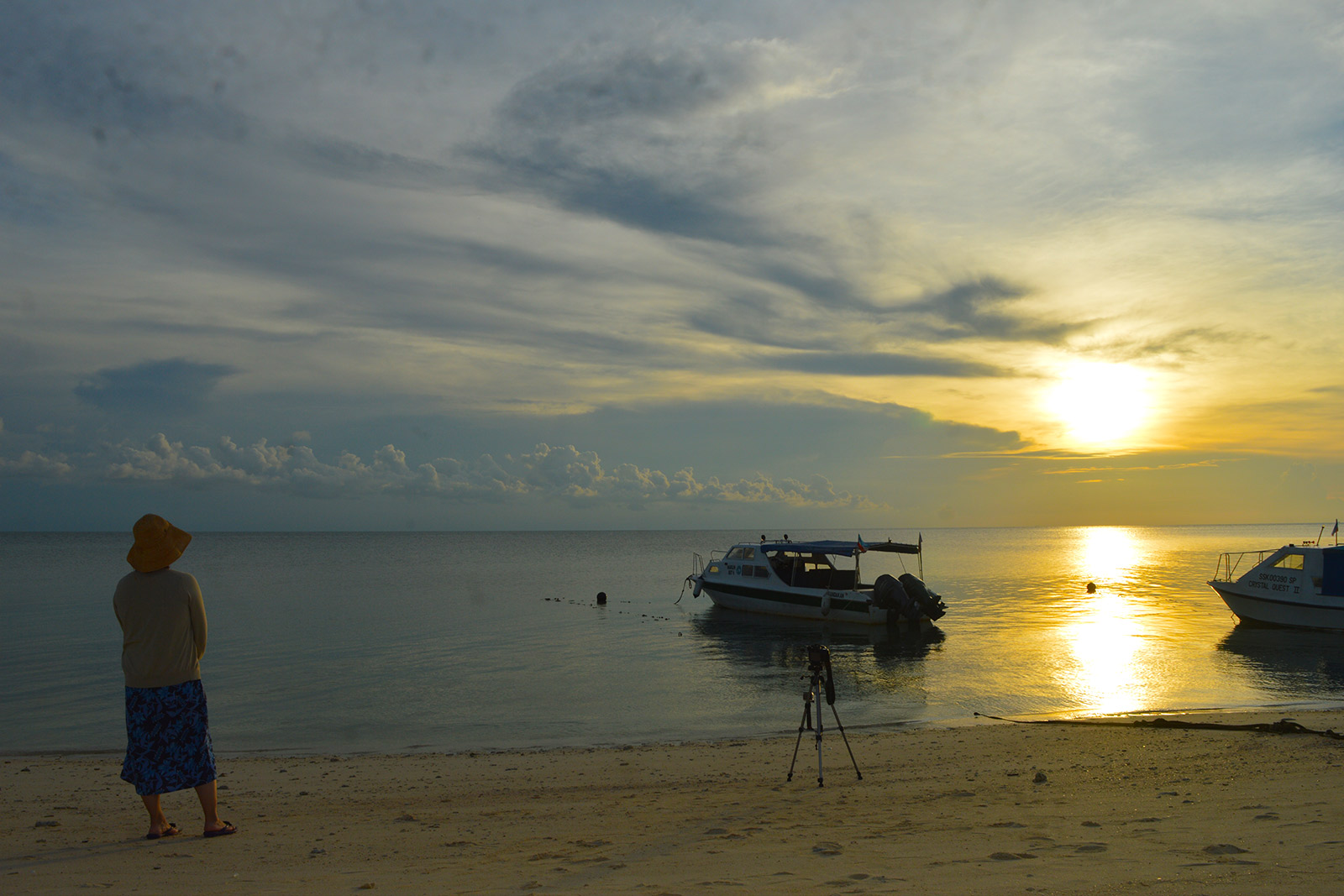 FAQs | Selingan Turtle Island